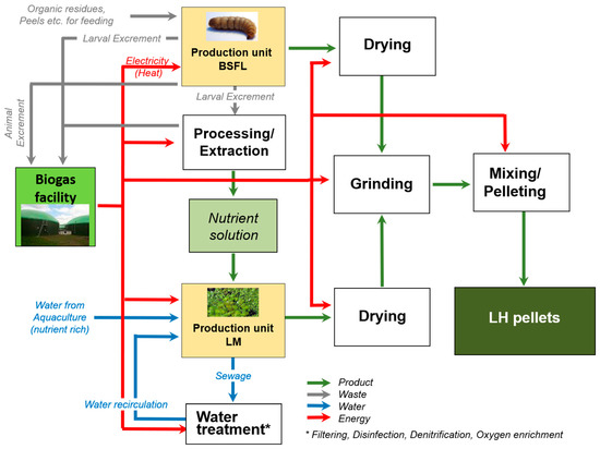 Sustainability Analysis of Fish Feed Derived from Aquatic Plant and Insect