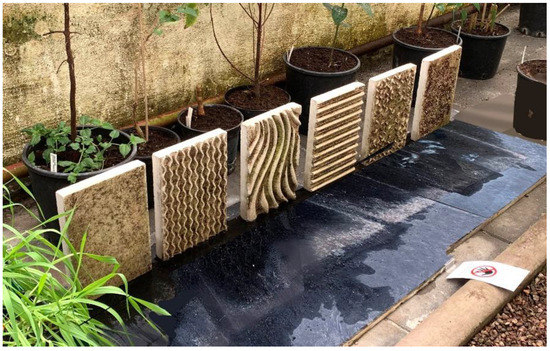 The Role of Geometry on a Self-Sustaining Bio-Receptive Concrete Panel ...