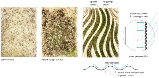 The Role of Geometry on a Self-Sustaining Bio-Receptive Concrete Panel ...