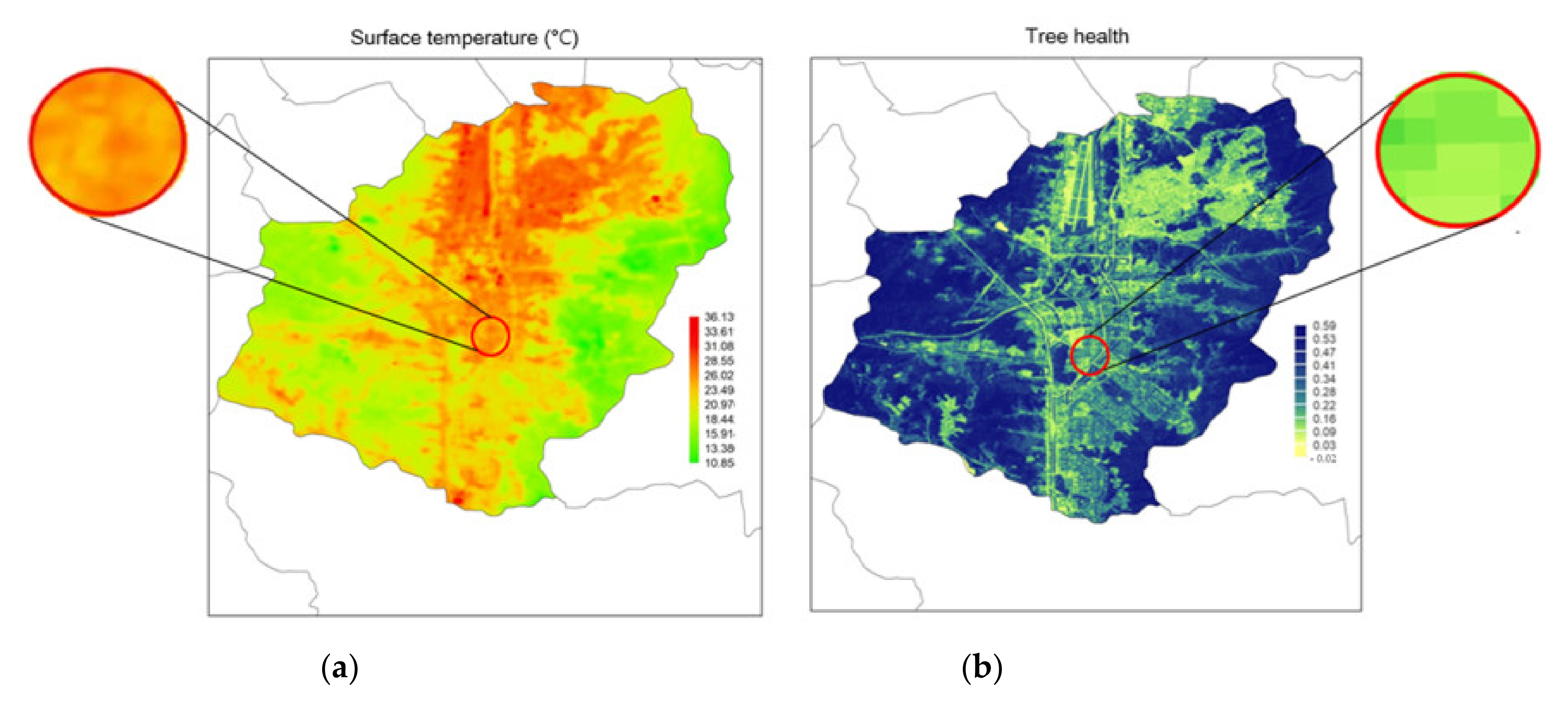 Influence of Tree Canopy Coverage and Leaf Area Density on Urban Heat ...