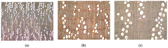 Sustainability | Free Full-Text | Geometric and Topological Bases of a ...