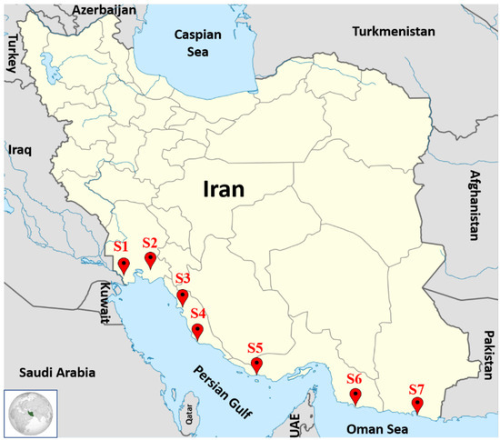 Exploring Wind Energy Potential as a Driver of Sustainable Development ...