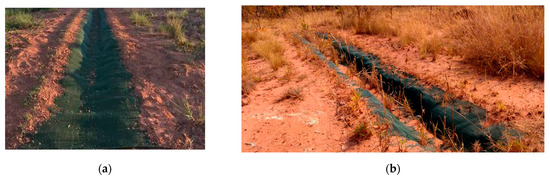 Performance of Rolled Erosion Control Products (RECPs) as Bioswale ...
