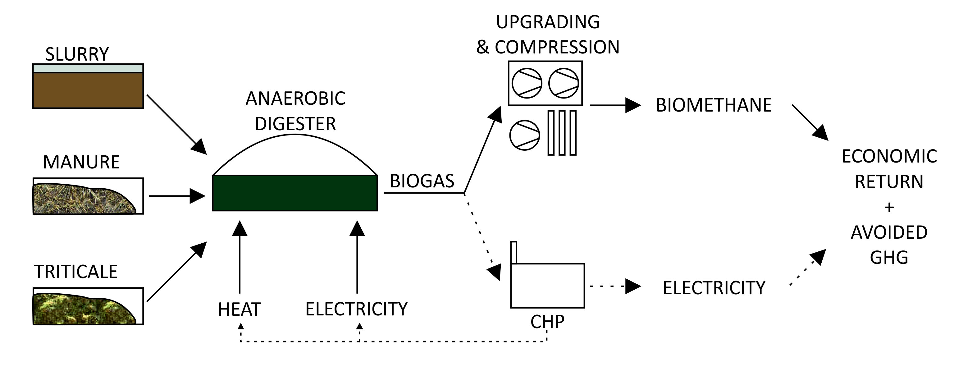 Sustainability | Free Full-Text | Economic Viability and Greenhouse Gas ...