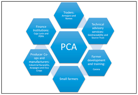 Addressing Sustainable Rural Development with Shared Value: A Peruvian ...