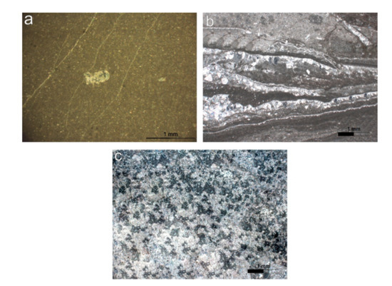 An Innovative Experimental Petrographic Study of Concrete Produced by ...
