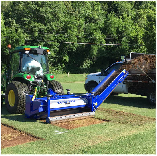 Non-Chemical Control of Annual Bluegrass (Poa annua) in Bermudagrass ...