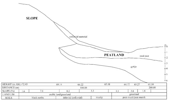 Effect of Peatland Siltation on Total and Labile C, N, P and K