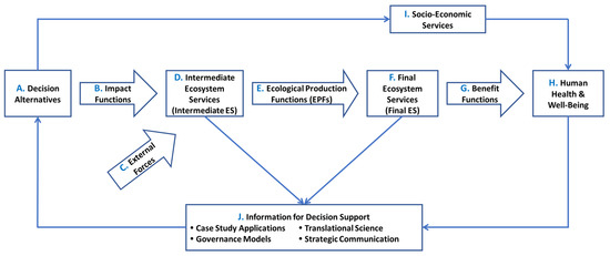 Evaluate sears using the competitive forces and value chain models ...