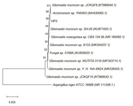 Galactomannans for Entrapment of Gliomastix murorum Laccase and Their ...