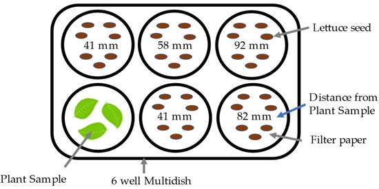 Determination of the Allelopathic Potential of Cambodia’s Medicinal ...