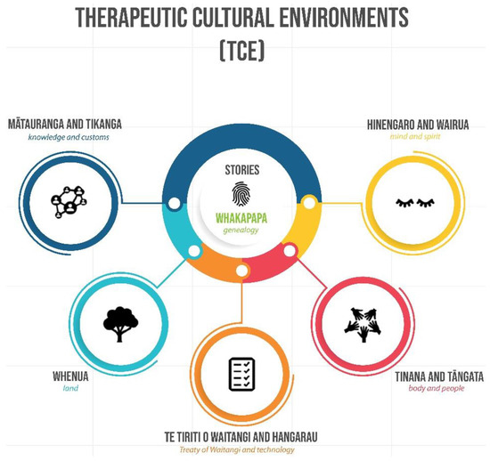 Conceptualising Therapeutic Environments through Culture, Indigenous ...