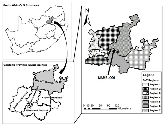 Learning Environmental Issues from a Secondary School Curriculum: The ...