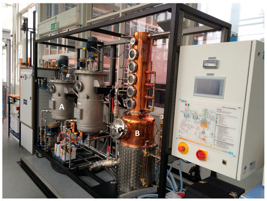 Techno-Economic Assessment of Polysaccharide Extraction from Baobab: A ...