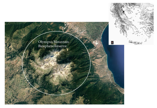 Citizen Science, Plant Species, and Communities’ Diversity and ...