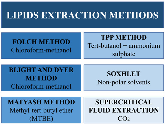 Lipids from Hermetia illucens, an Innovative and Sustainable Source