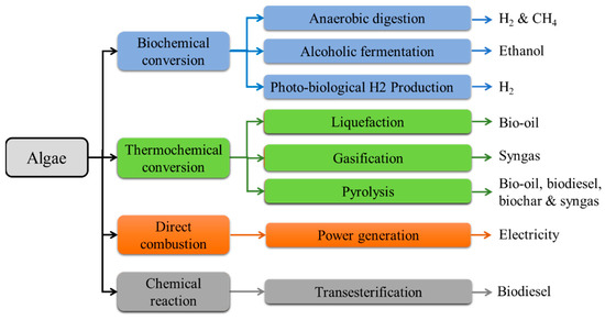 A Review on the Efficient Catalysts for Algae Transesterification to ...