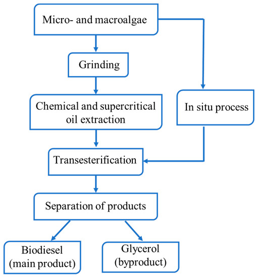 A Review on the Efficient Catalysts for Algae Transesterification to ...