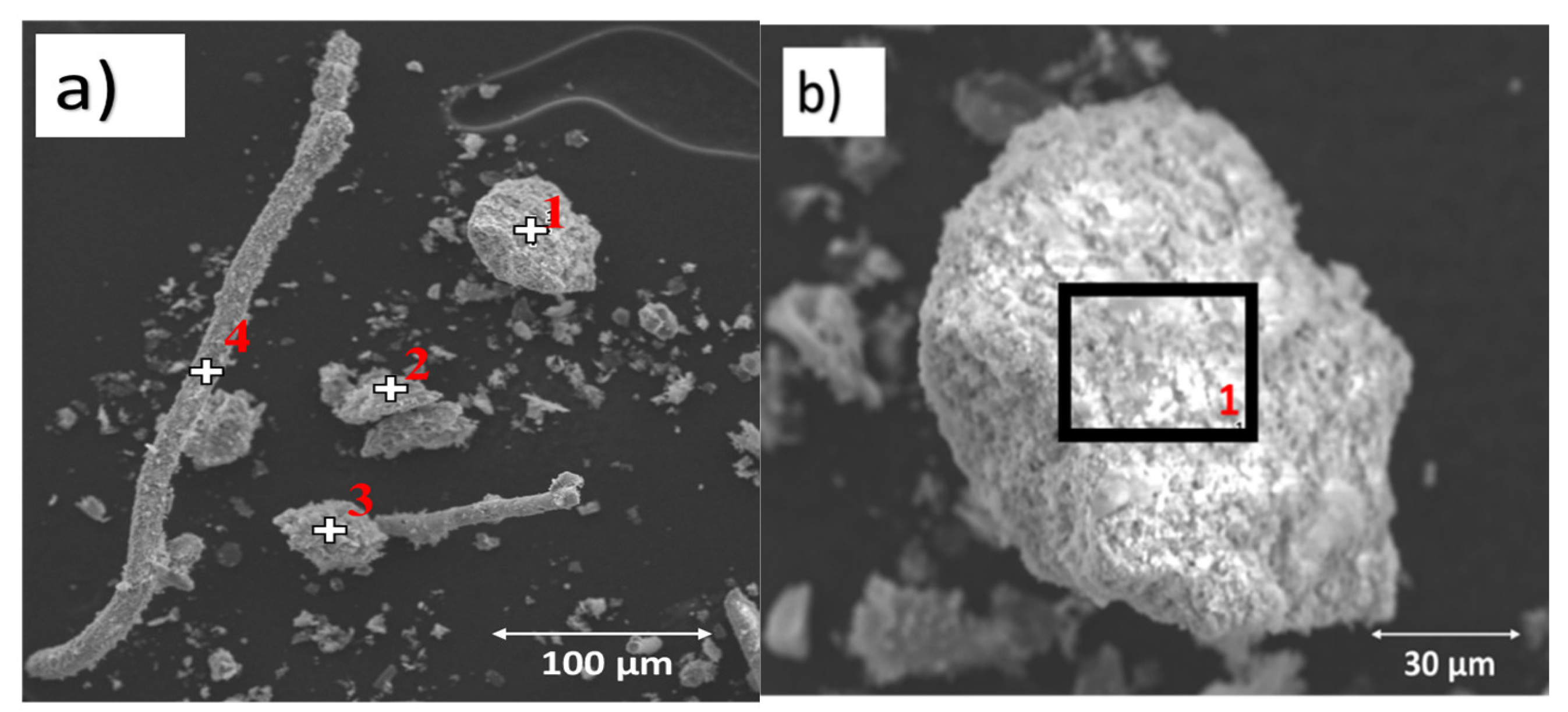 Pretreatment of Automotive Shredder Residues, Their Chemical ...