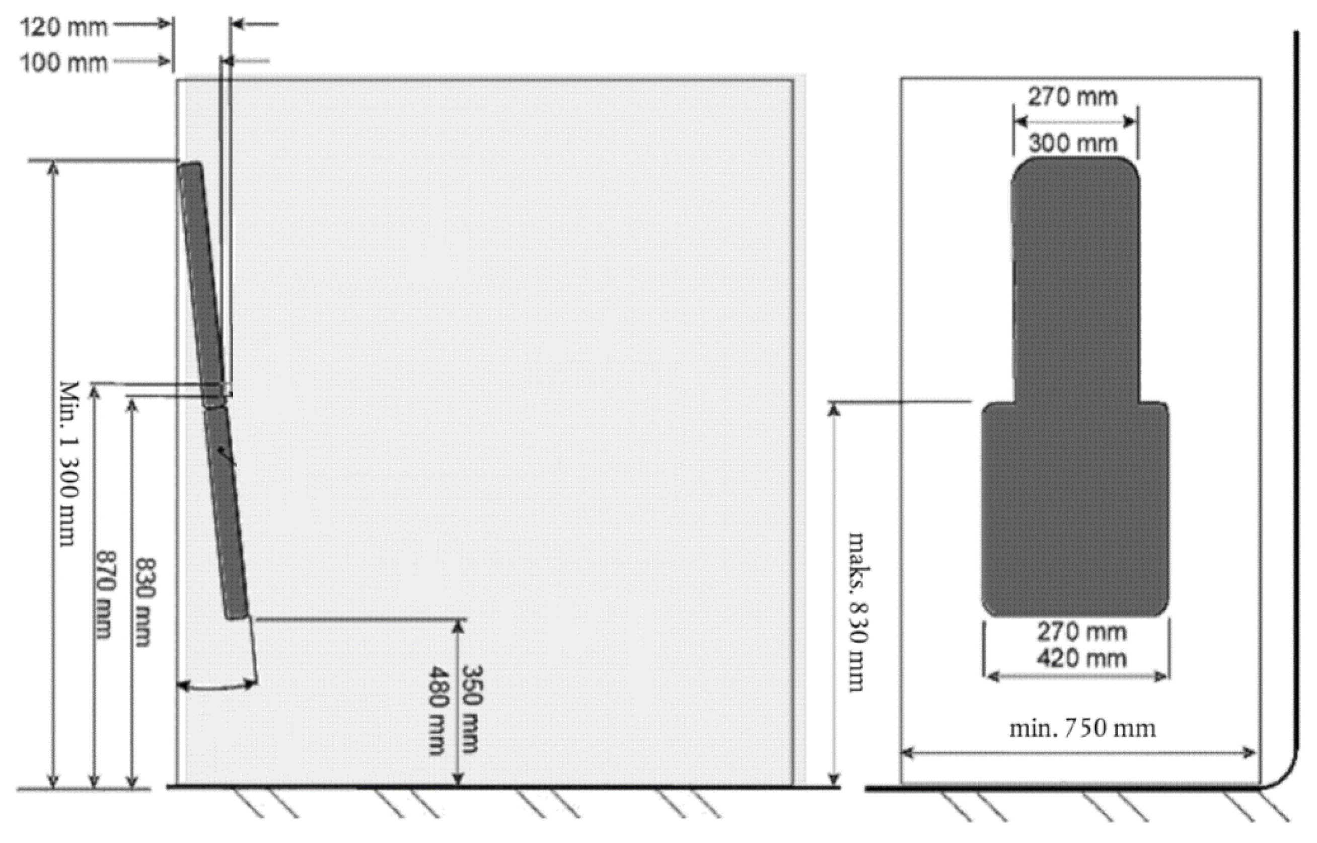 Safety of People with Special Needs in Public Transport