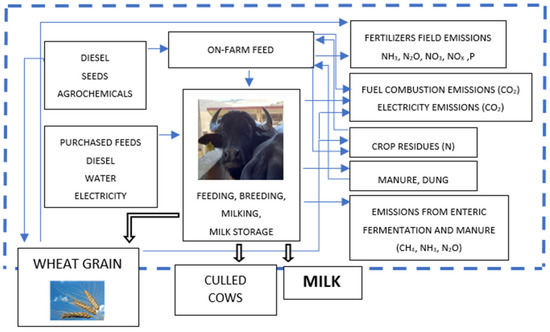 Dairy Buffalo Life Cycle Assessment (LCA) Affected by a Management ...