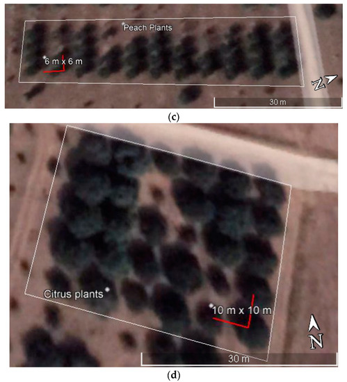 A Sustainable Irrigation System for Small Landholdings of Rainfed ...