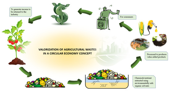 Value-Added Metabolites from Agricultural Waste and Application of ...