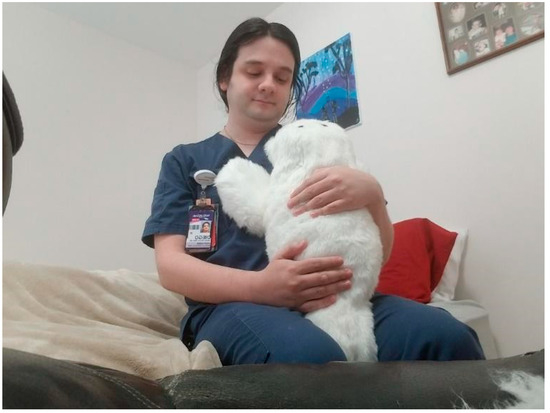 PARO as a Biofeedback Medical Device for Mental Health in the COVID-19 Era