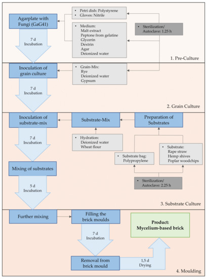 Life Cycle Assessment of Fungal-Based Composite Bricks