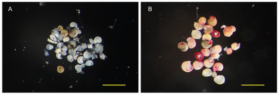 Production of Specific Polyclonal Antibody against the Larvae of ...
