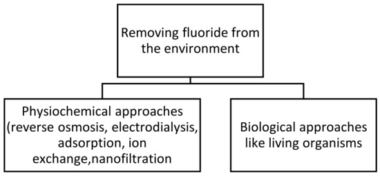 Sustainability | Free Full-Text | Fluoride Toxicity Limit—Can the ...