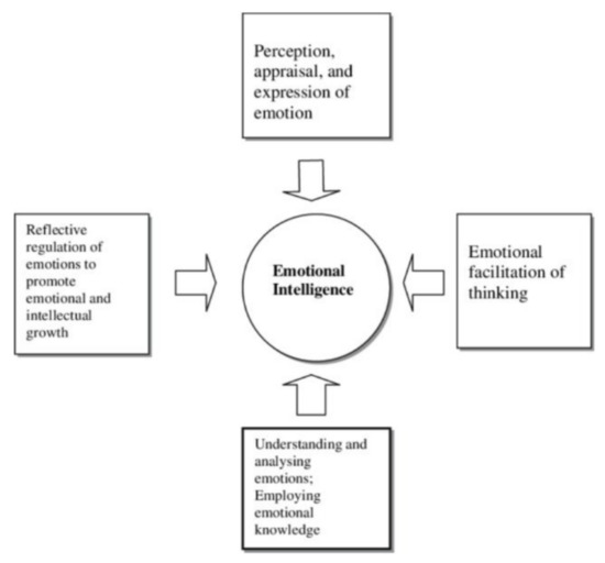 Teachers’ Social–Emotional Competence: History, Concept, Models ...