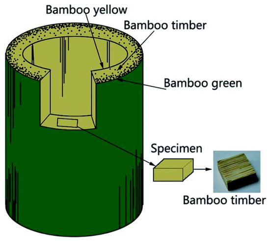 Bamboos: From Bioresource to Sustainable Materials and Chemicals