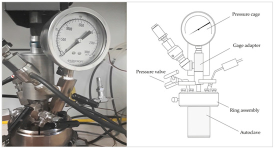 Sustainability | Free Full-Text | Hydrogen-Rich Gas Produced by the ...
