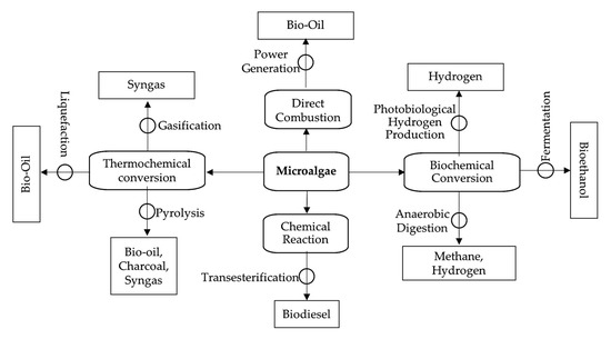 Role of Biofuels in Energy Transition, Green Economy and Carbon Neutrality