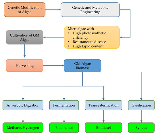 Role of Biofuels in Energy Transition, Green Economy and Carbon Neutrality