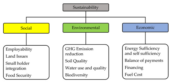 Role of Biofuels in Energy Transition, Green Economy and Carbon Neutrality