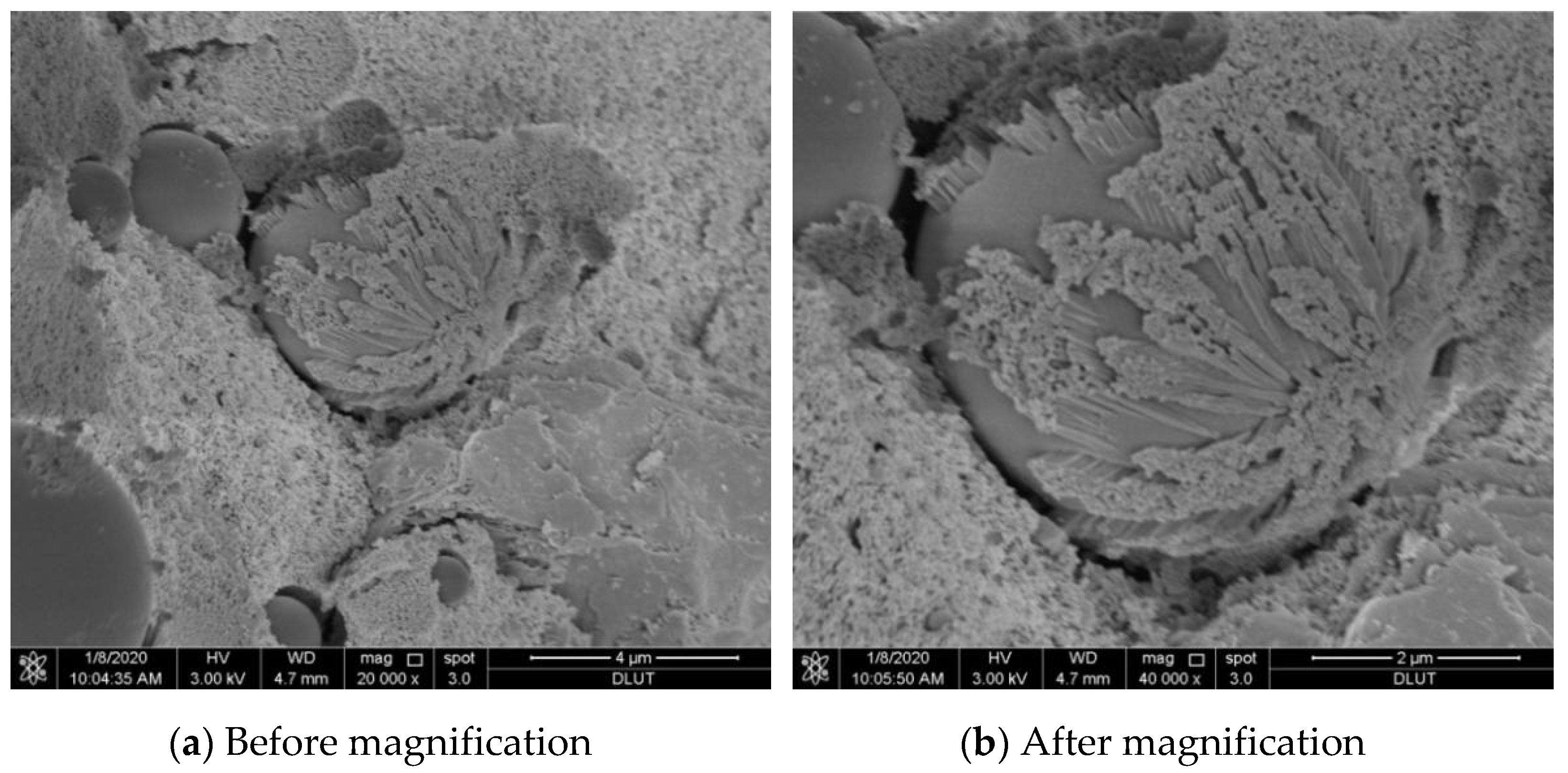 Experimental Study on Solidification of Pb2+ in Fly Ash-Based Geopolymers