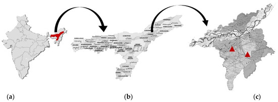 Diversity of Soil Dwelling Collembola in a Forest, Vegetable and Tea ...