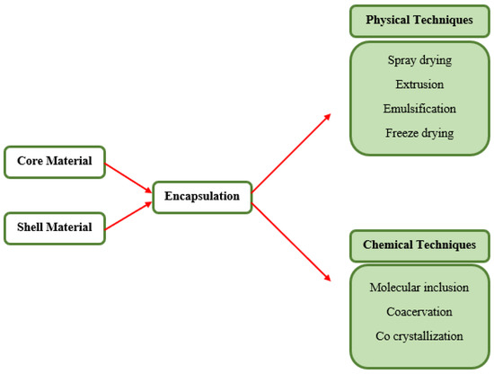 Salinity Stress: Toward Sustainable Plant Strategies and Using Plant ...
