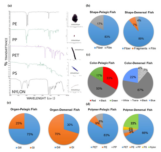 Presence and Characterization of Microplastics in Coastal Fish around ...
