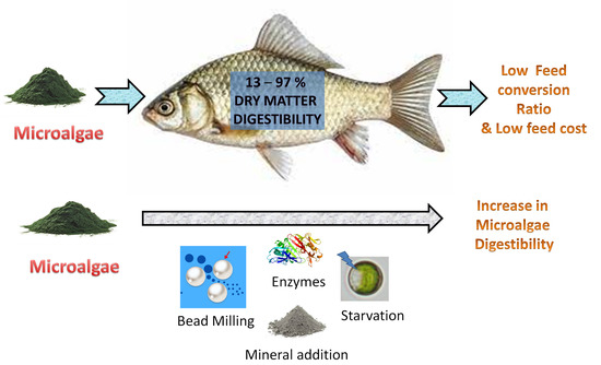 Sustainability | Free Full-Text | Nutrients and Energy Digestibility of ...