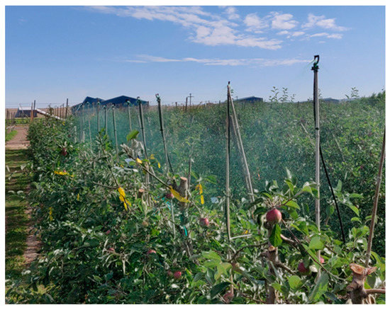 Effect of Emitter Modifications on Spray Performance of a Solid Set ...