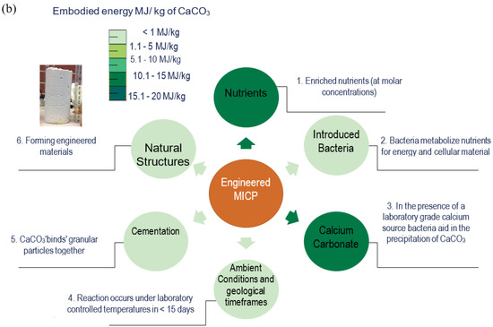 Life Cycle Assessment of Biocement: An Emerging Sustainable Solution?