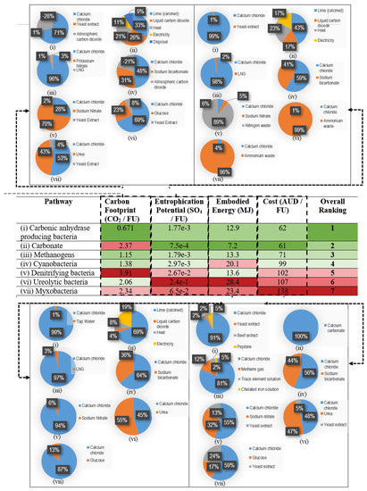 Life Cycle Assessment of Biocement: An Emerging Sustainable Solution?