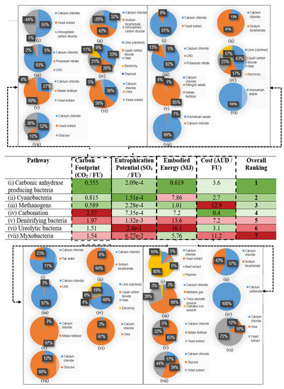 Life Cycle Assessment of Biocement: An Emerging Sustainable Solution?