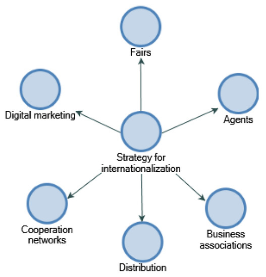 Sustainable International Expansion via Cooperation Networks in the ...