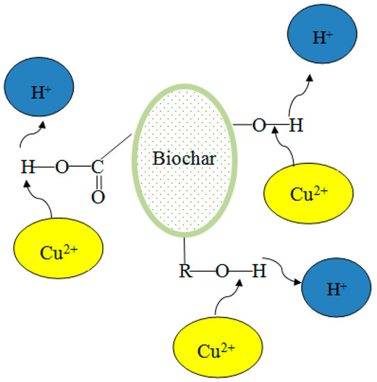 Applications of Biochar and Modified Biochar in Heavy Metal ...