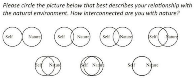 Threat to Nature Connectedness: How Does It Influence Consumers ...