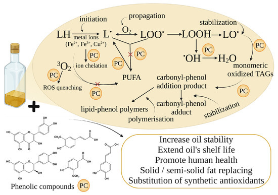 Innovative and Sustainable Technologies to Enhance the Oxidative ...